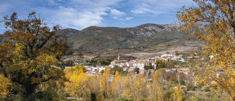 Torrecilla y su comarca - Ayuntamiento de Torrecilla